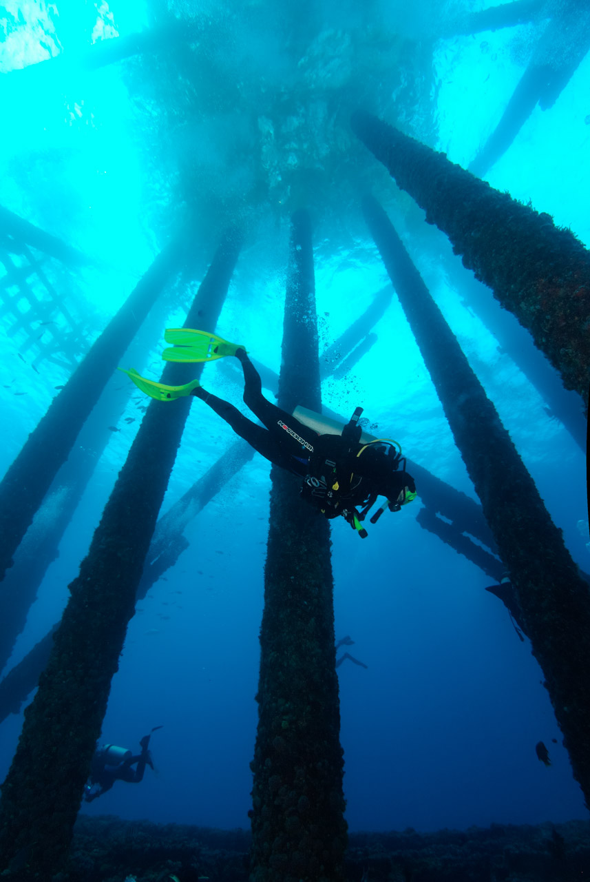 Diving on oil platforms in the Gulf of Mexico off Texas, USA