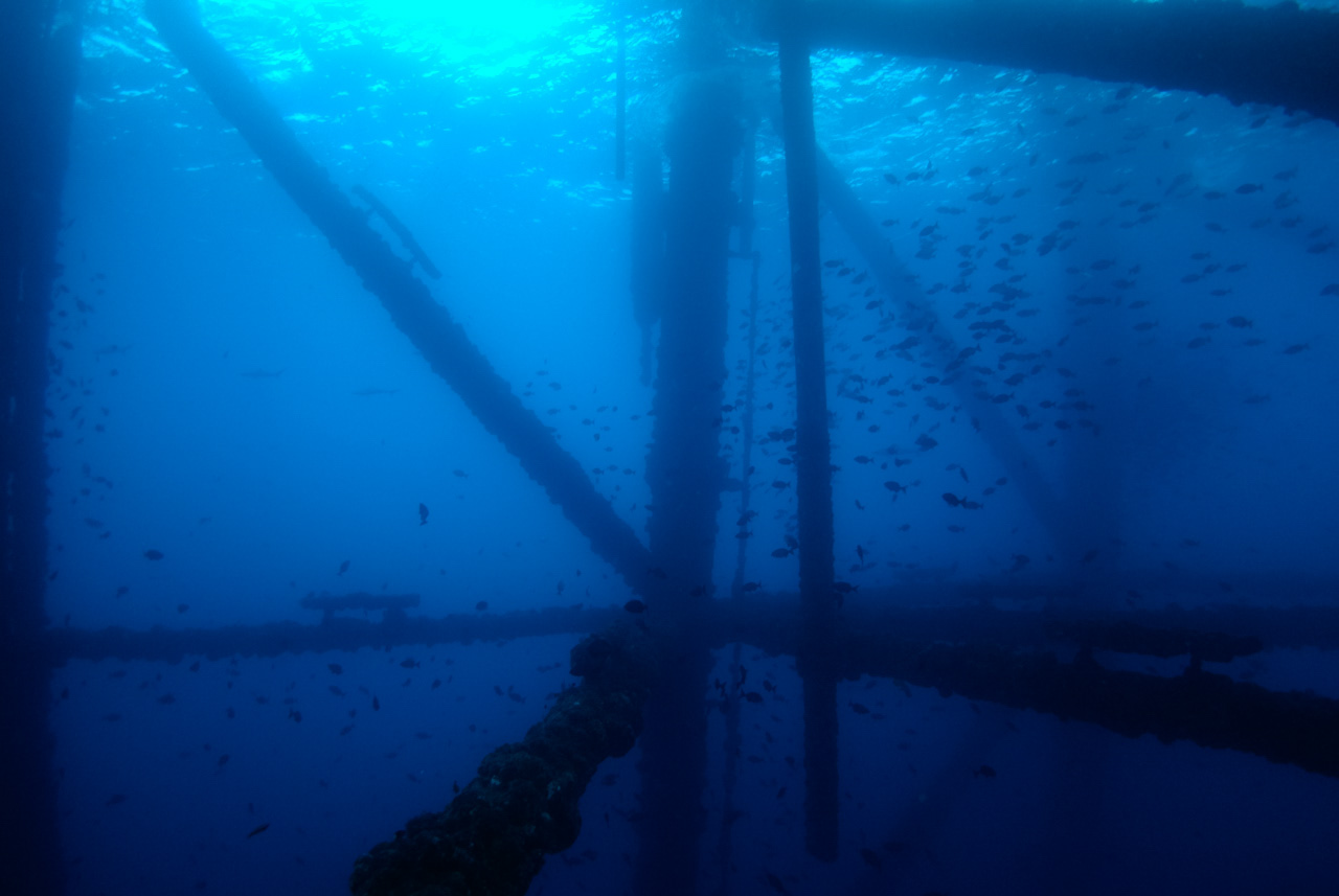 Diving on oil platforms in the Gulf of Mexico off Texas, USA