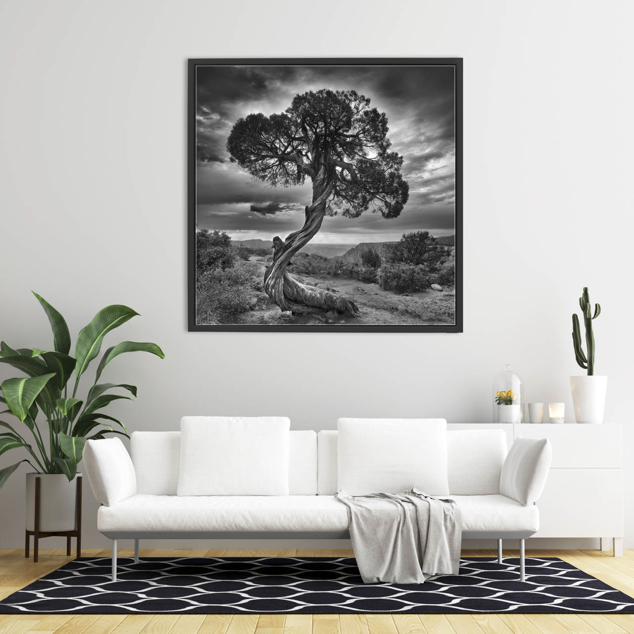 Discover Fine Art Prints of the Wonders of Nature to Shape Your Living ...