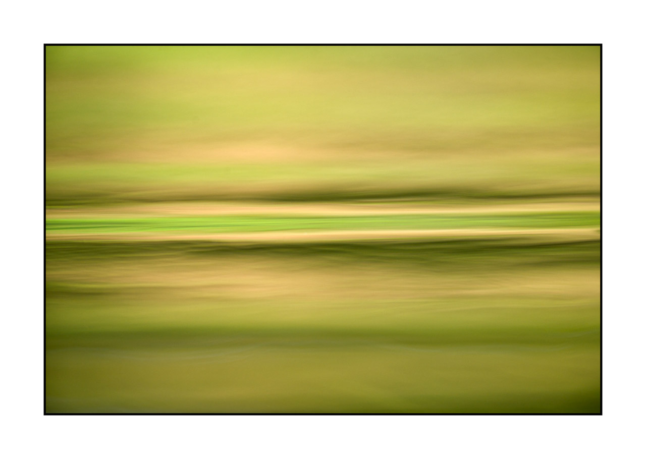 Parallel Universes in Color XVII