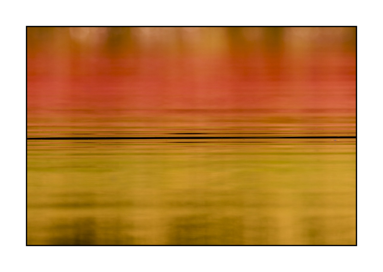 Parallel Universes in Color VII